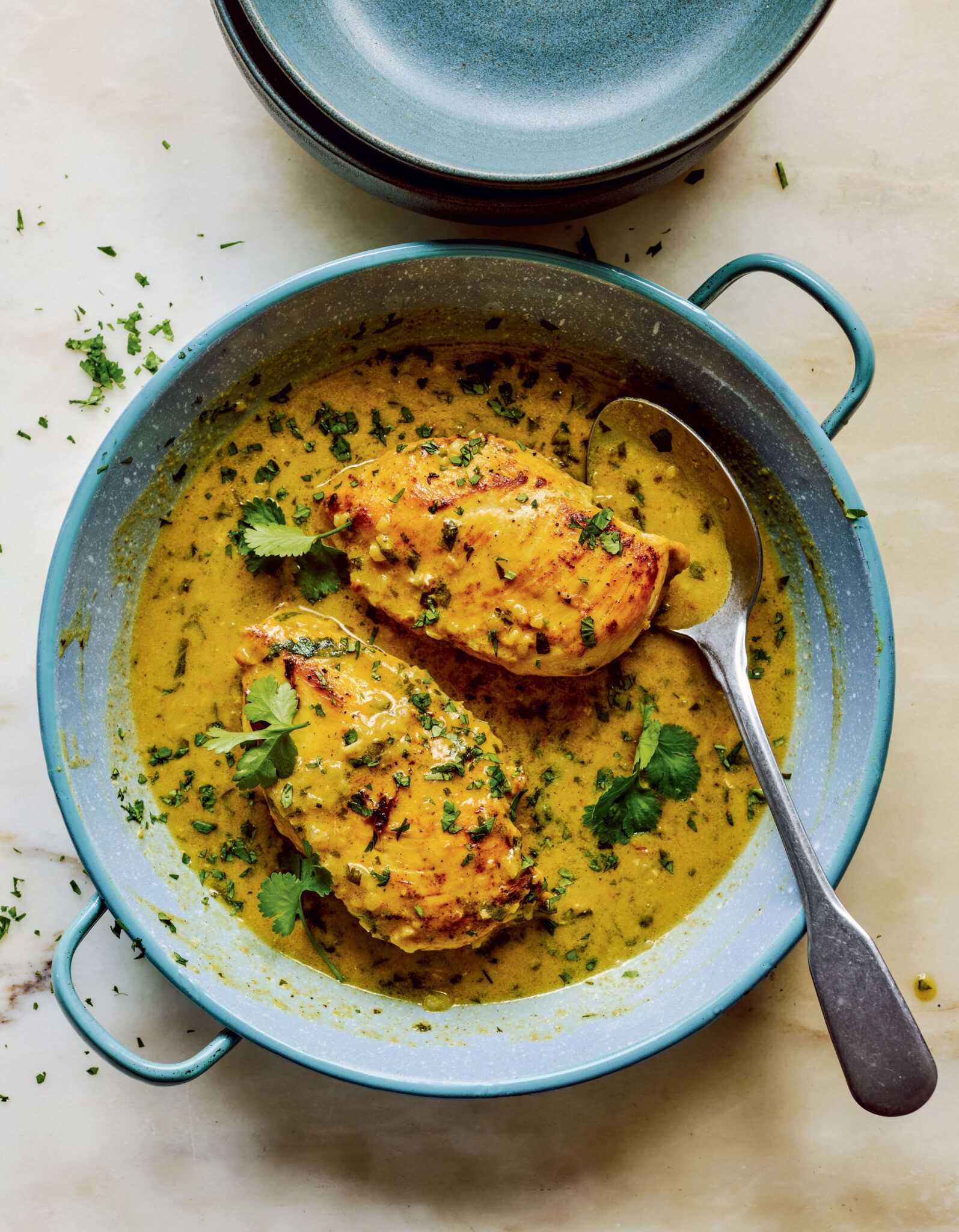 The Good Bite Lite | High-Protein Cookbook